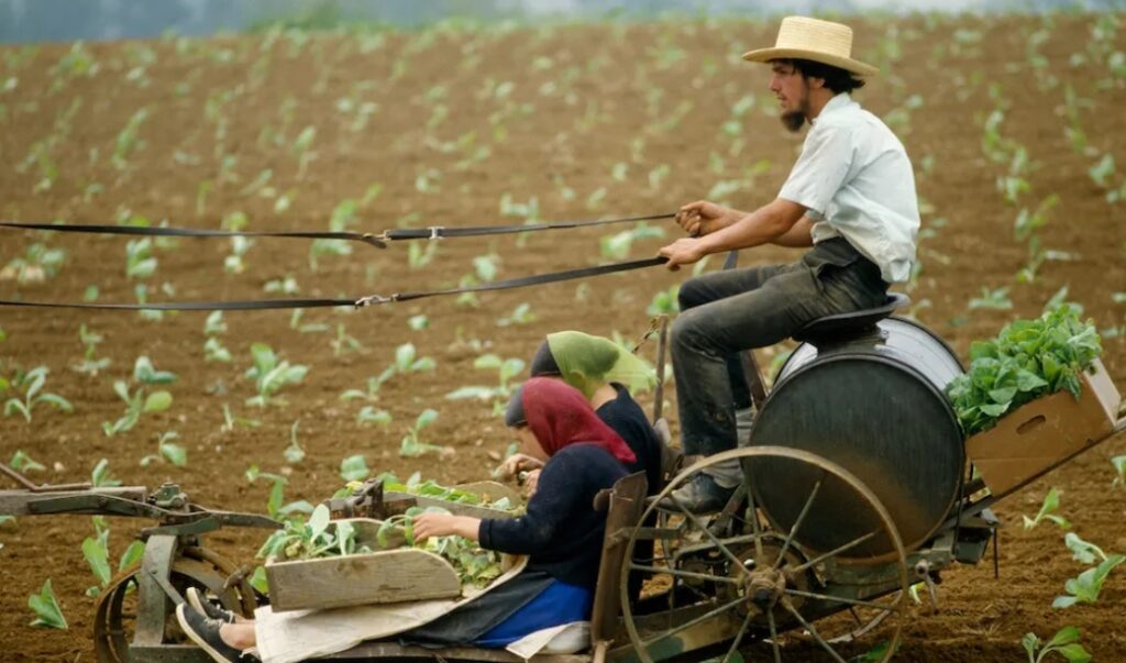 Understanding the Overlooked Amish Culture | Wanderoam
