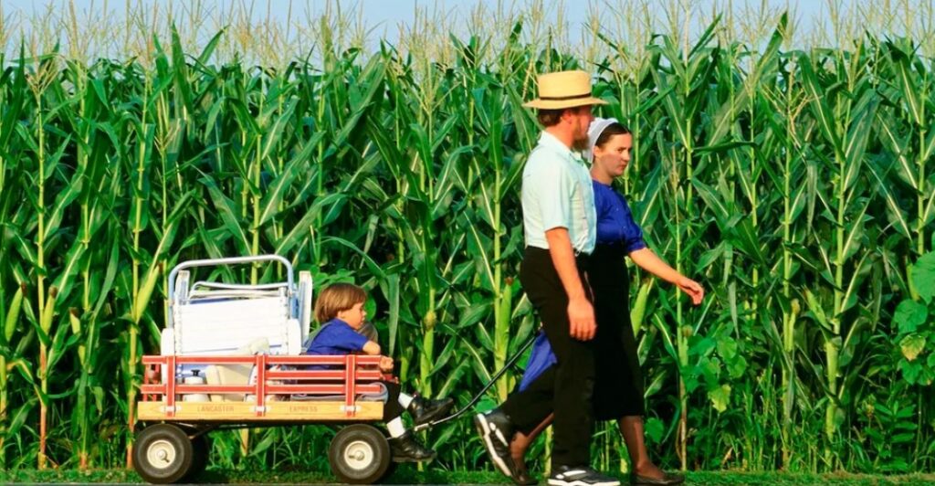 Understanding the Overlooked Amish Culture | Wanderoam